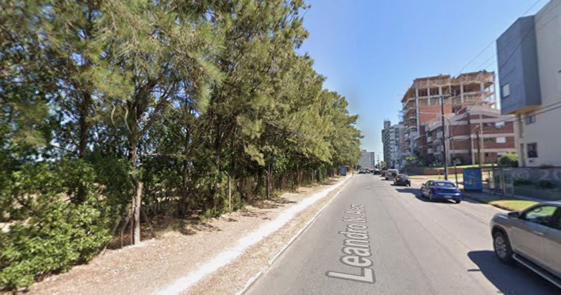 Encontraron un cráneo humano en un contenedor de basura en Mar del ...