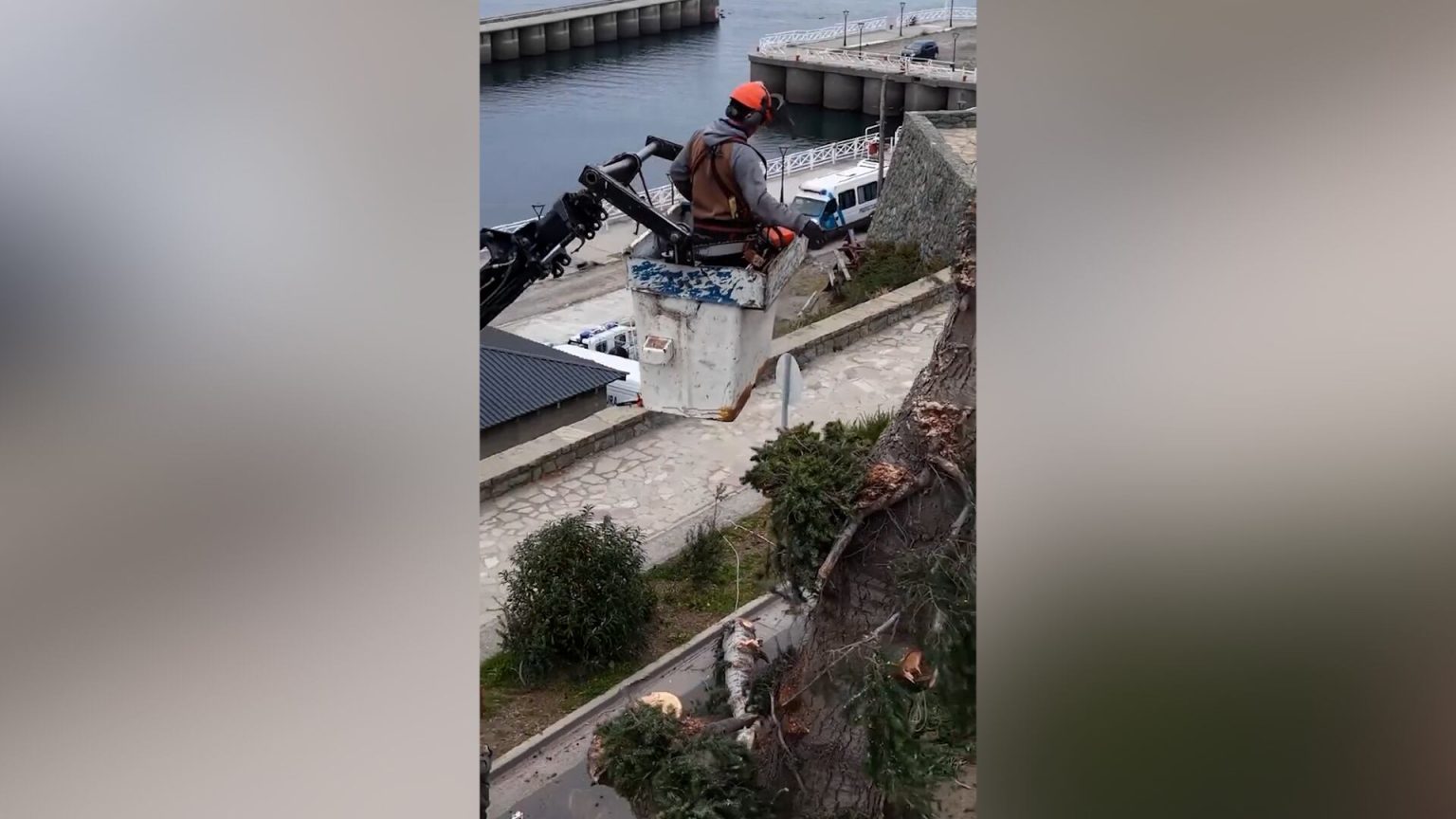 La verdadera motosierra: el intendente de Bariloche se puso al frente ...