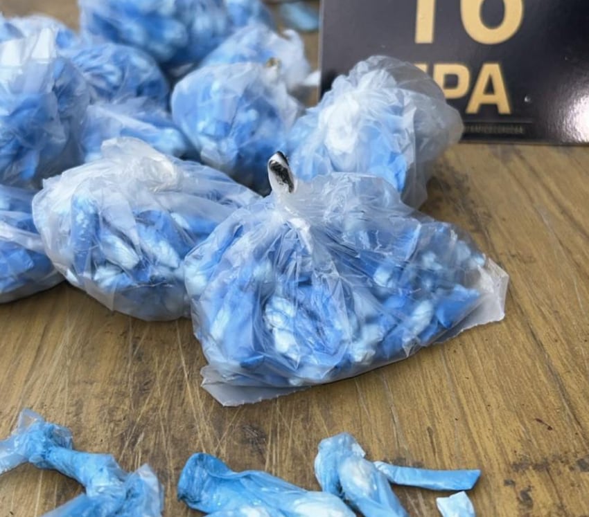 Cayó una banda narco familiar en Córdoba: una de las involucradas era ...